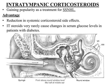 Autoimmune Inner Ear Diseaseaied Pptx