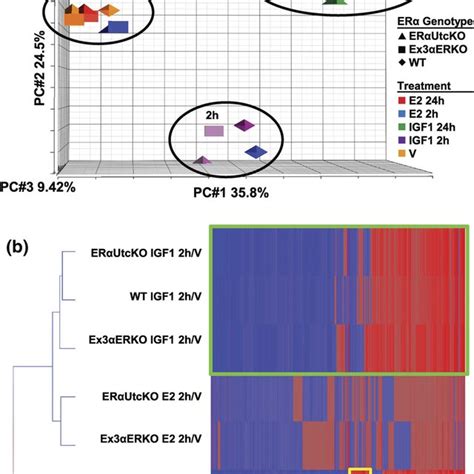 Microarray Analysis Of E2 And Igf1 Regulated Transcripts A Principal Download Scientific