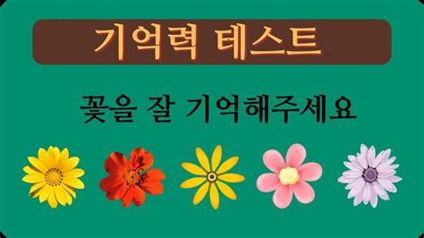 하루 두뇌건강 깜빡깜빡 하십니까 건망증치매테스트 해보세요 Youtube