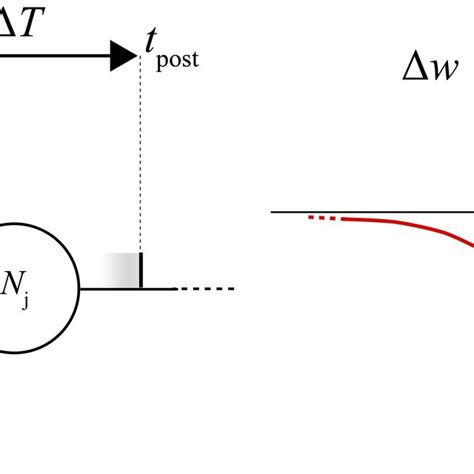 scheme of stdp a ∆t b learning window ltd and ltp curves in red