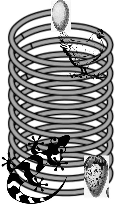 Solving The Xor Problem Using A Single Layer Neural Network By Suki Venkat Medium