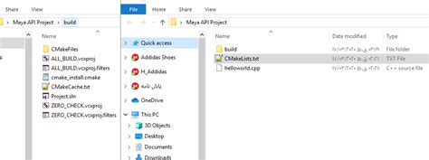 C Why I Have Some Missing Files When Cmake Generate Build Folder