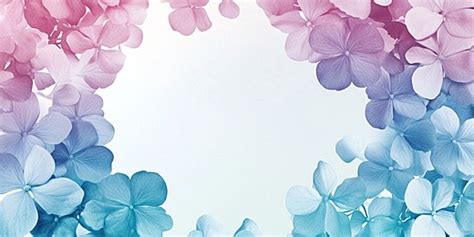 부드러운 파스텔 플로럴 디자인 밝은 파란색 배경 부드러운 파스텔톤의 꽃무늬 하늘색 배경 파스텔 배경 일러스트 및 사진 무료