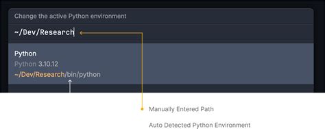 Python Envs Scripton Docs
