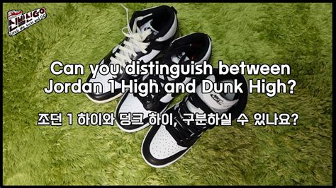 조던 1 하이 범고래 덩크 하이 챔피언쉽 화이트와 빈티지 블랙의 차이점 비교 Youtube