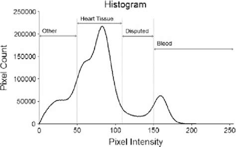 Histogram Of The Pixel Intensity Across All Images In The Volume Each Download Scientific