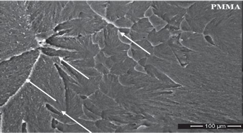 Impact Fracture Surface Morphology Fesem Of Unreinforced Pmma Resin