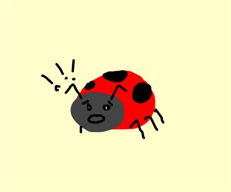 Scared Ladybug Drawception Scared Ladybug Drawception