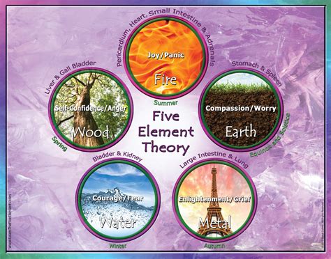 5 Element Theory