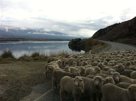 마이투어뉴질랜드 현지여행사 남섬 3박4일 한국인가이드 수시출발 줌줌투어 뉴질랜드 퀸즈타운