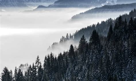 Whats The Difference Between Fog And Clouds Nayturr