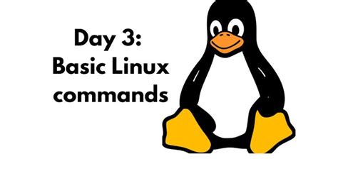 Nikhil Gujela On Linkedin Day 3 Basic Linux Commands