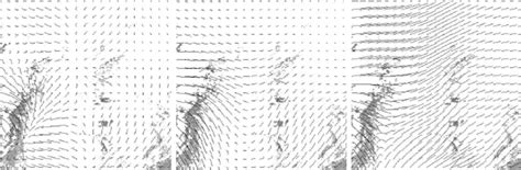 Collaborative Approach And Spatio Temporal Regularization Influence On