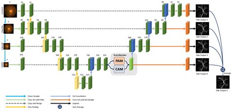 Dual Attention Multiscale Network For Vessel Segmentation In Fundus Photography