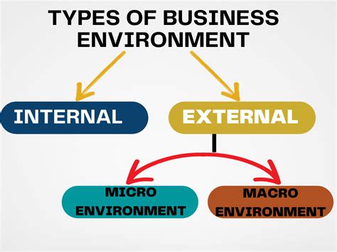 External Components Of Business Environment At Hayley Forster Blog