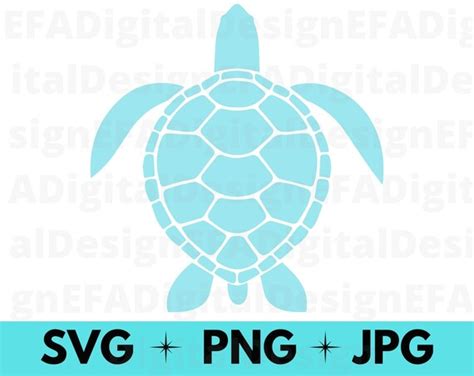 Sea Turtle Svg Cut Files Sea Turtle Clipart Instant Digital Etsy