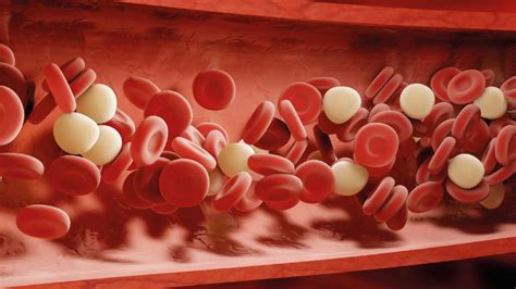 Tìm hiểu về rối loạn chuyển hóa lipid máu