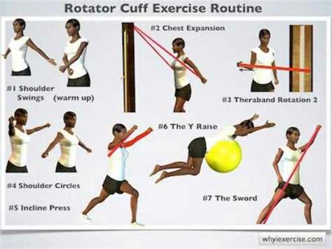 Rotator Cuff Exercises Benefits At Lisa Cunningham Blog
