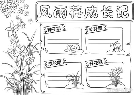 种子的生长过程简笔画二年级简单（共16张） 简笔画图片大全