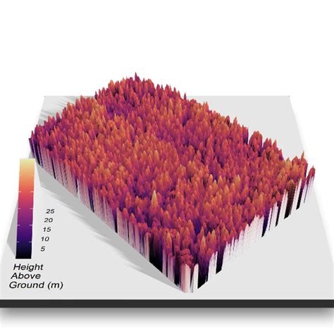 Tree Segmentation — Grey Explorations