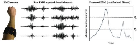 Sample Demonstrating The Processing Of Emg Signals Download Scientific Diagram