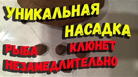 Уникальная насадка для ловли рыбы - YouTube