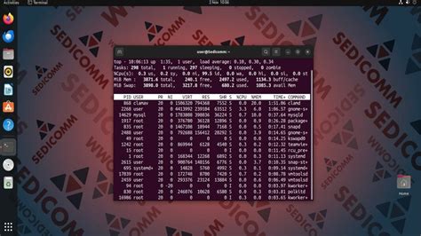 17 примеров использования Top в Linux