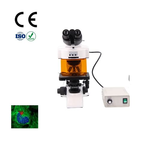 Canon Microscopestrinocular Working Of Fluorescence Microscope For Microscope Light Source The