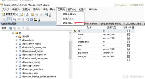 Set Identityinsert Tablename On；使数据库id主键可以自定义插入数据恢复的时候可以用，修改主键set