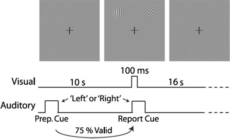 Visual Spatial Attention Paradigm Each Trial Began With An Auditory
