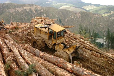 Best Logging Swamp Logging Logging Equipment Images On Pinterest Logging Equipment