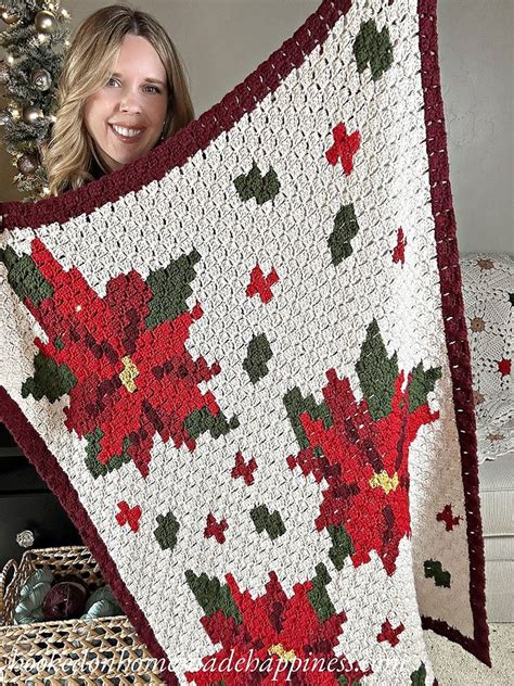 Poinsettia Blanket Bundle