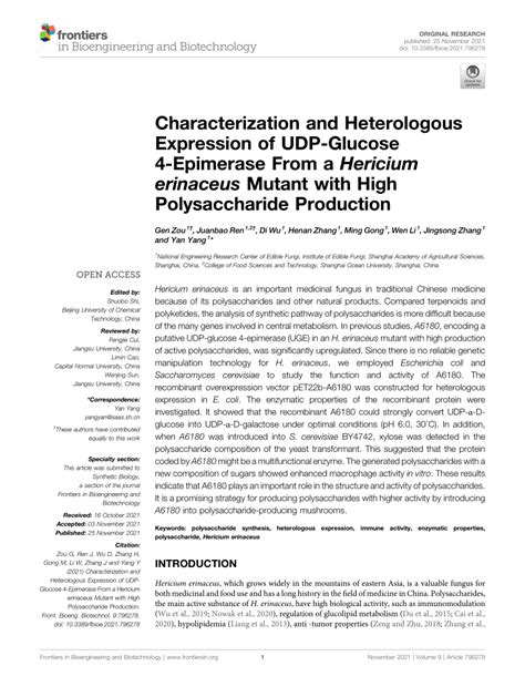 Pdf Characterization And Heterologous Expression Of Udp Glucose 4 Epimerase From A Hericium