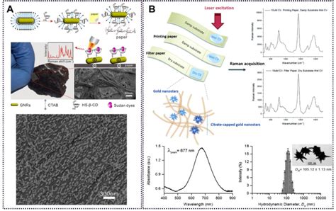 Au Nanostructures Based Sers Paper Devices Fabrication A Workflow For