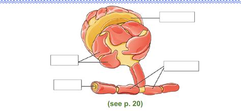 Chapter 1 Diagram Quizlet
