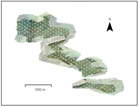 Remote Sensing Free Full Text Application Of Yolov For Point Label Based Object Detection