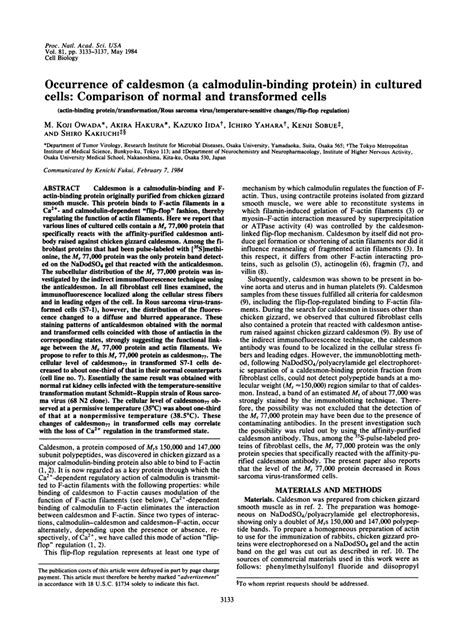 Occurrence Of Caldesmon A Calmodulin Binding Protein In Cultured Cells Comparison Of Normal