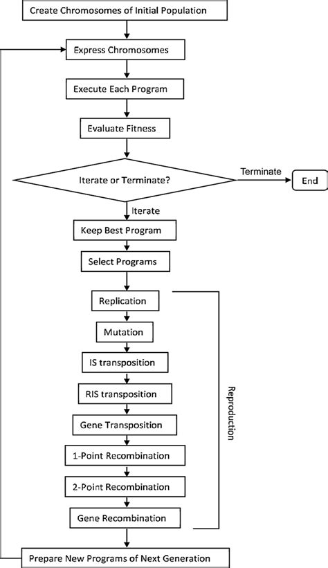 Basic Representation Of The Gep Algorithm Ferreira 2001 Download