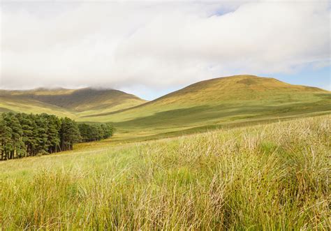 Постеры и картины ”ЛУГА ” купить в Санкт Петербурге по цене 290 ₽ 3480 ₽ плакат ”ЛУГА ” на