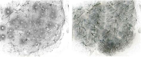 Point Clouds Of The Scope Area Obtained With The Tls A And Mls B Download Scientific