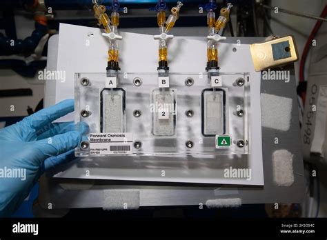 A View Of The 3 Forward Osmosis Membrane Membrane Cells Assessing The Performance Of Urease
