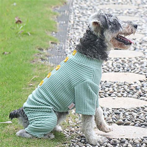 Badu Bg Очарователен прекрасен зимен домашен любимец котка куче четирикрак костюм с мече шал