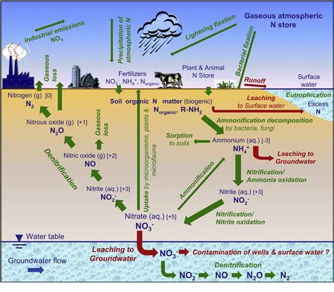 Pdf Nitrate Attenuation In Groundwater A Review Of Biogeochemical Controlling Processes