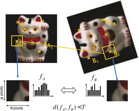Object Recognition With Local Features Requires The Algorithm To Download Scientific Diagram