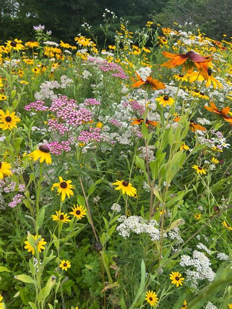 Grumpy Tg Bsky Social On Bluesky