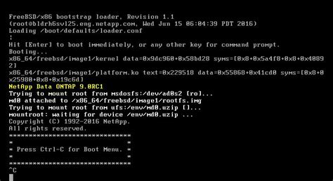 Remote Infrastructure Management Clustered Data ONTAP Administration