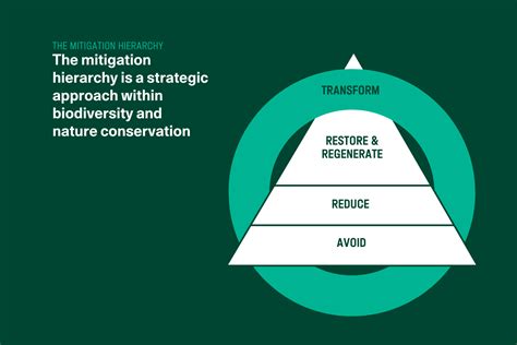 Recommendations On How To Work On Biodiversity Recommendations On How To Work On Biodiversity