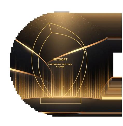 Netsoft Partner Oracle Netsuite Erp Netsoft Netsuite Erp Oracle Netsuite Solution Provider