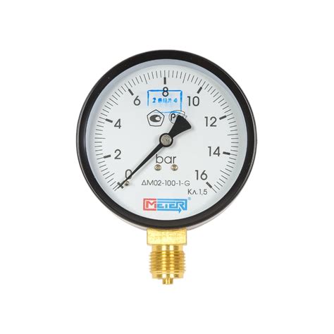 Манометр МЕТЕР ДМ 02-100-1-G Р=0..16 бар, G1/2 кл.1,5 695 - выгодная ...