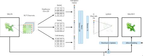 Figure 1 From Neural Cellular Automata Can Respond To Signals Semantic Scholar